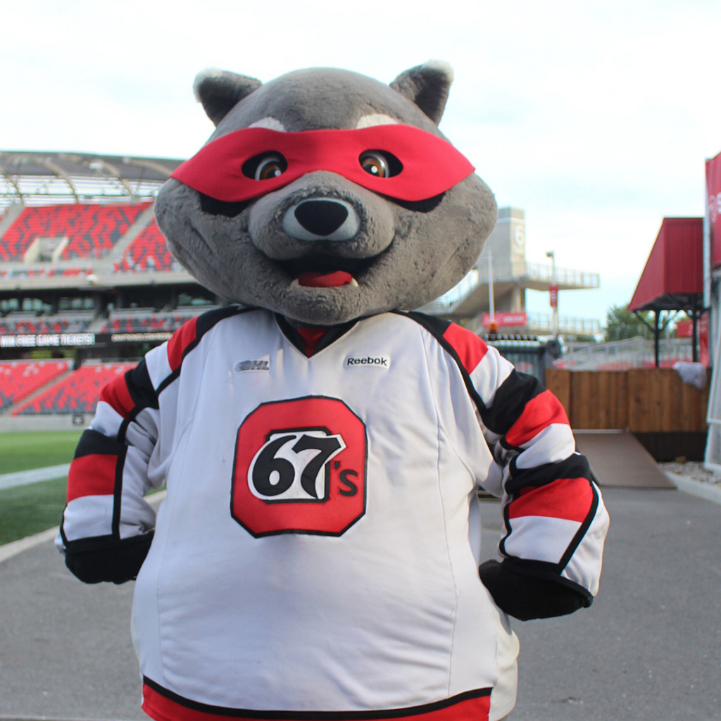 Get Involved - OSEG Foundation